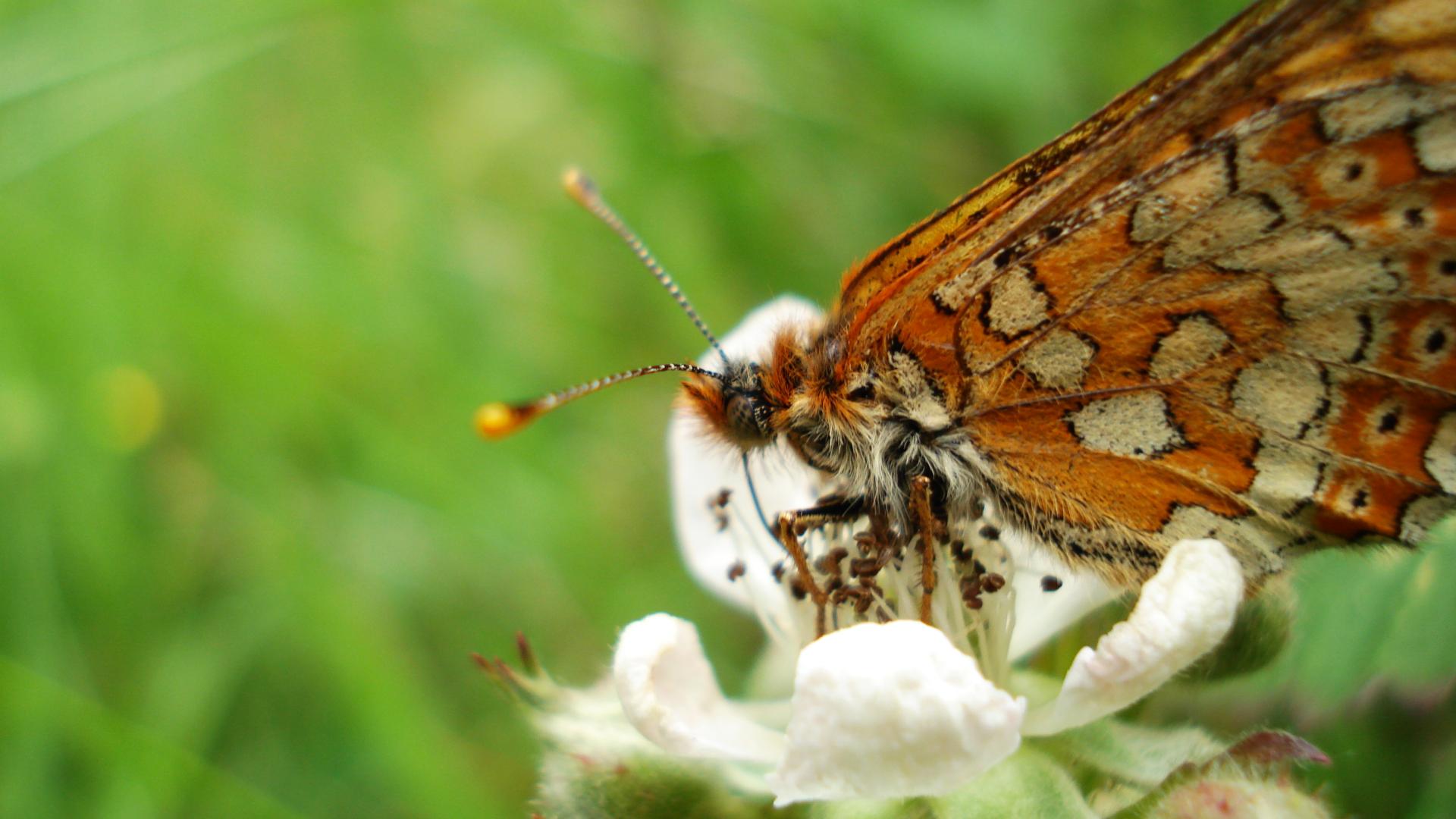 Project Team | GLiTRS